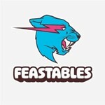 Feastables - Clockwork | Private Investment Management Software
